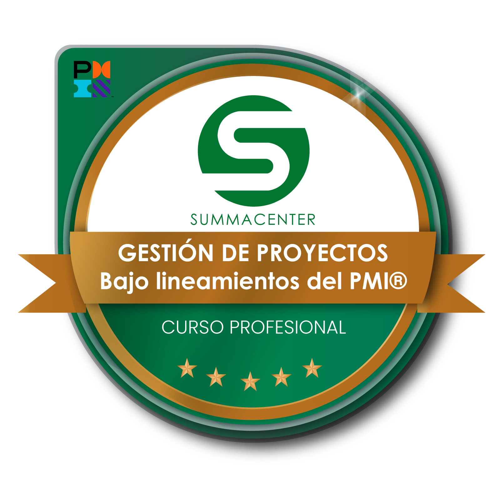 Gestión de Proyectos bajo los lineamientos del PMI® - Credly