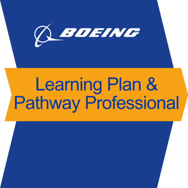 Learning Plan & Pathway Professional - Credly