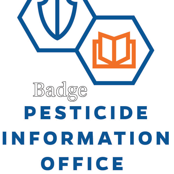 Test Badge CORE 2 - Credly