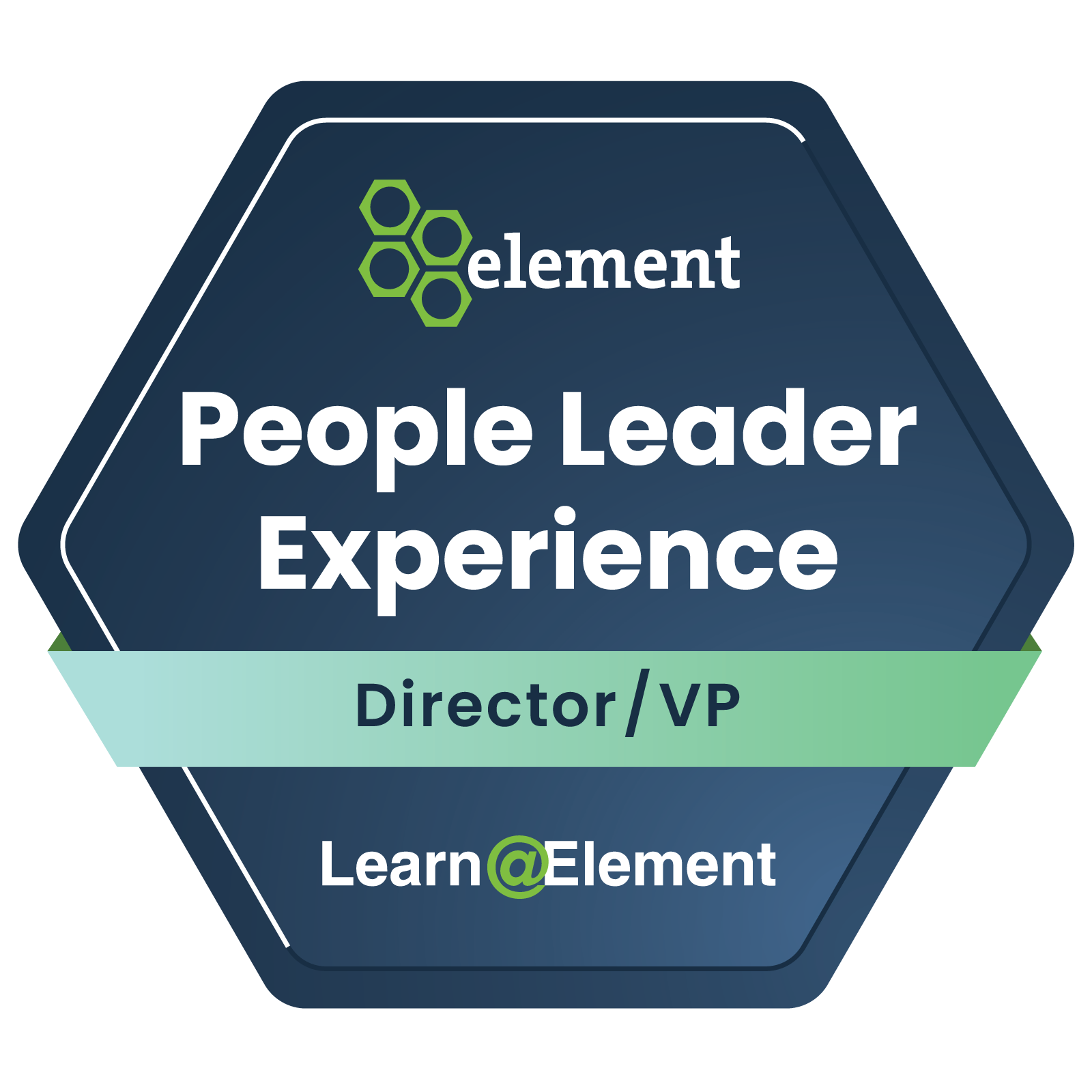 People Leader Experience for Directors & Vice Presidents - Credly