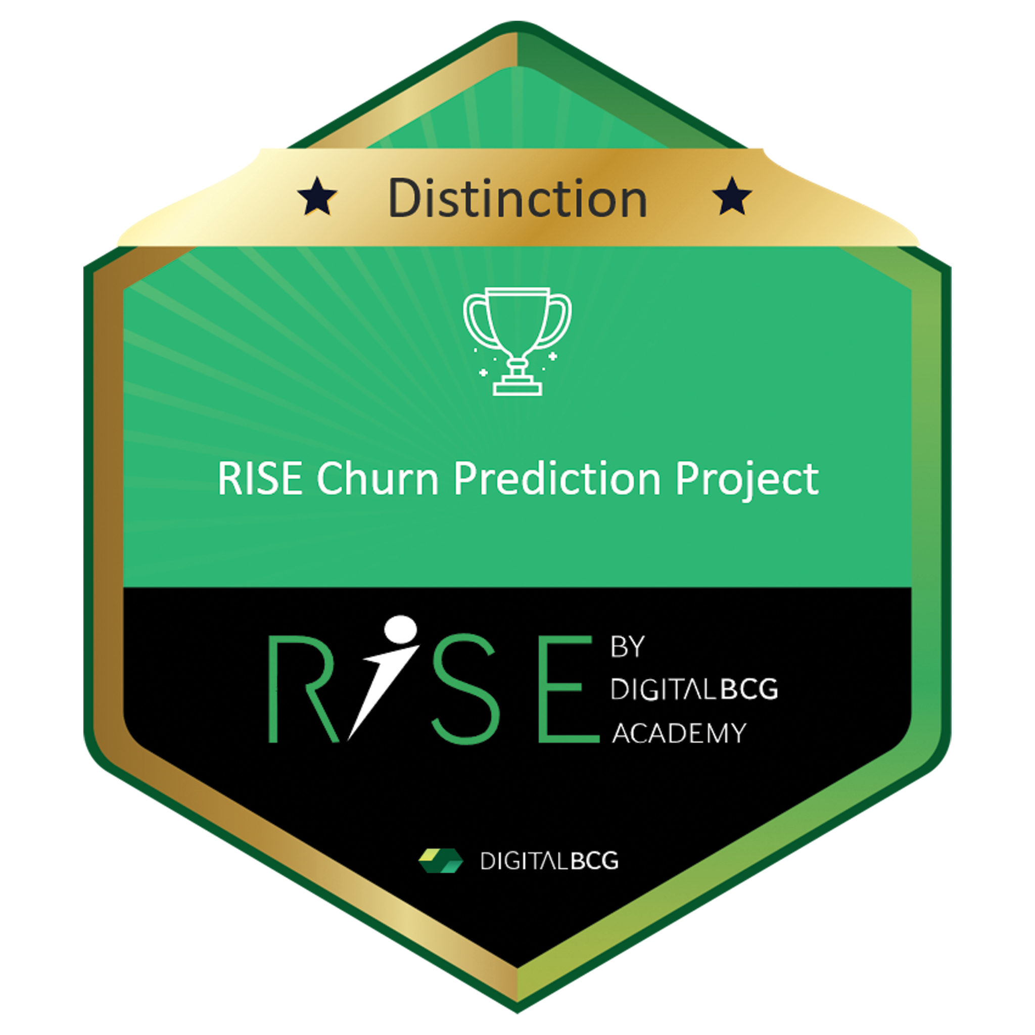 Bcg Rise Distinction Churn Prediction Project Credly