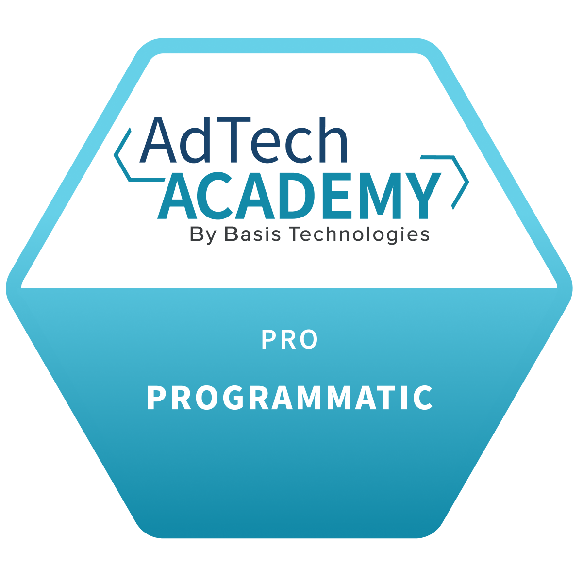 Programmatic - Credly