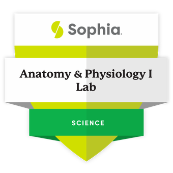 Anatomy & Physiology I Lab (SCIE1051) - Credly
