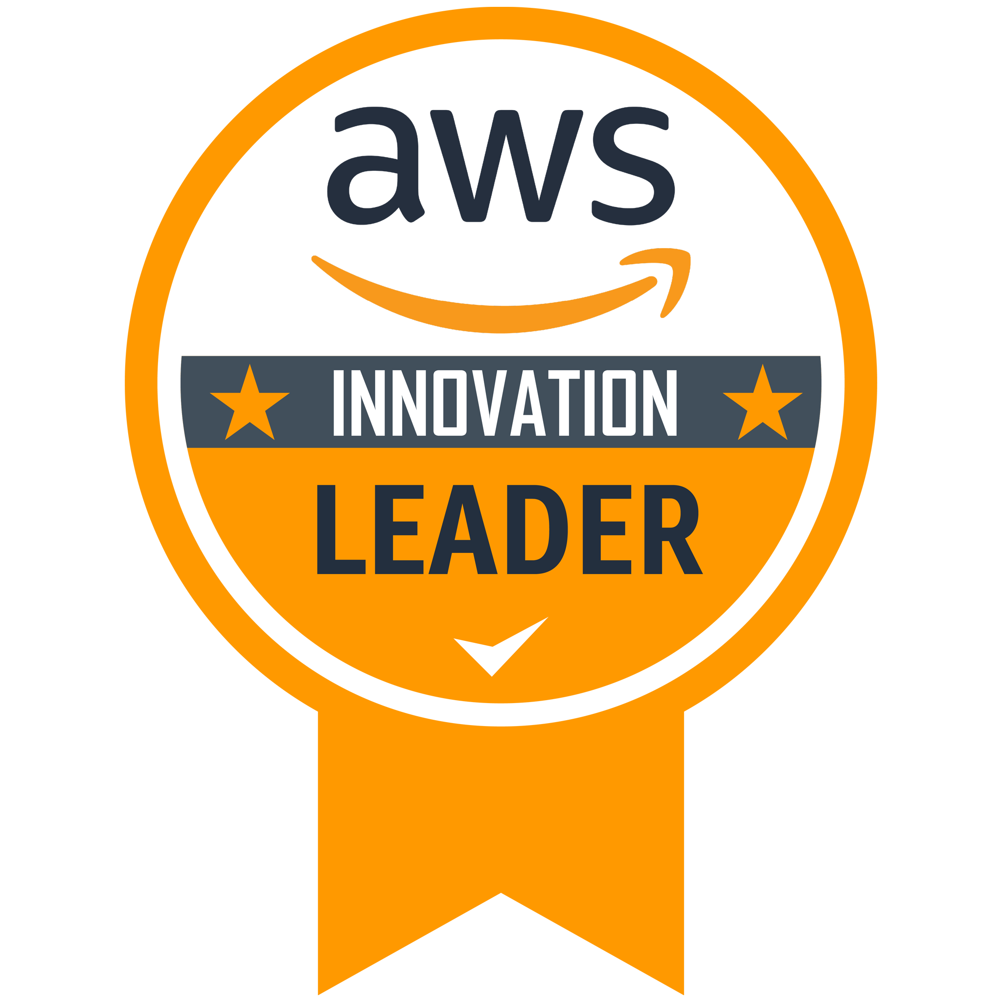 AWS Innovation Leader - Credly
