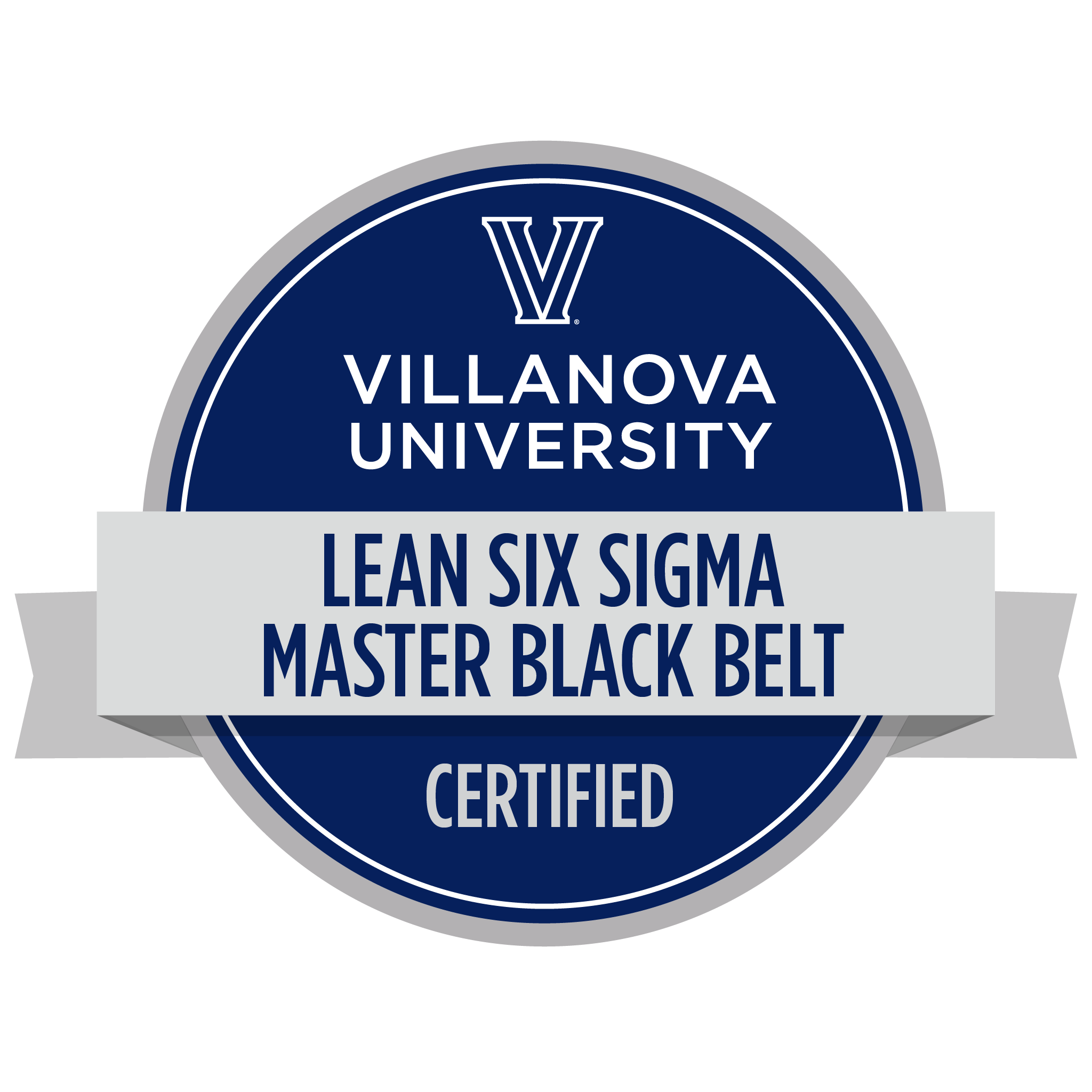Lean Six Sigma Master Black Belt Certification - Credly