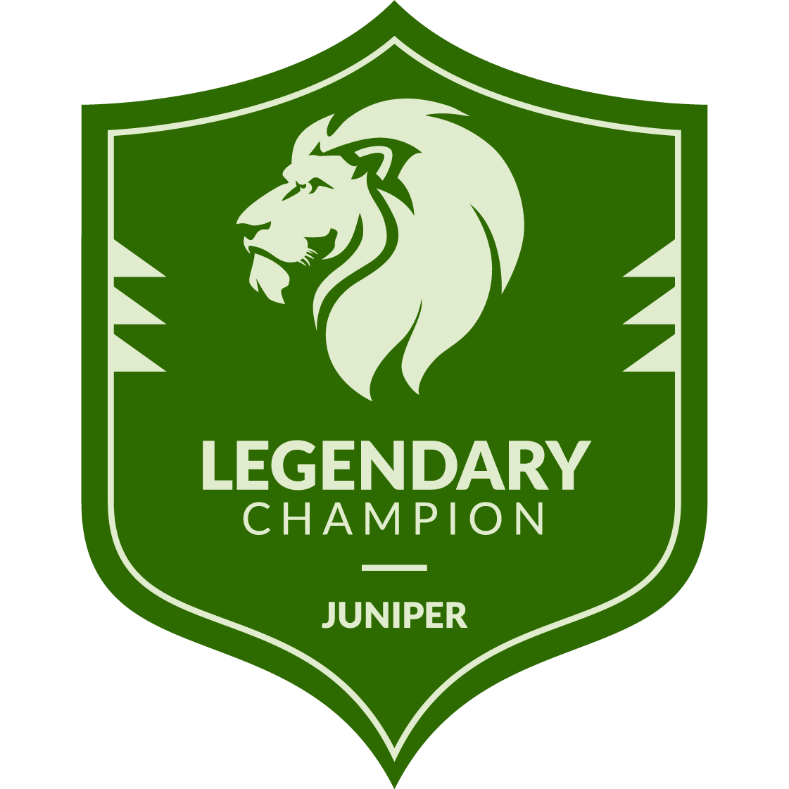 Legendary Technical Champion - Credly