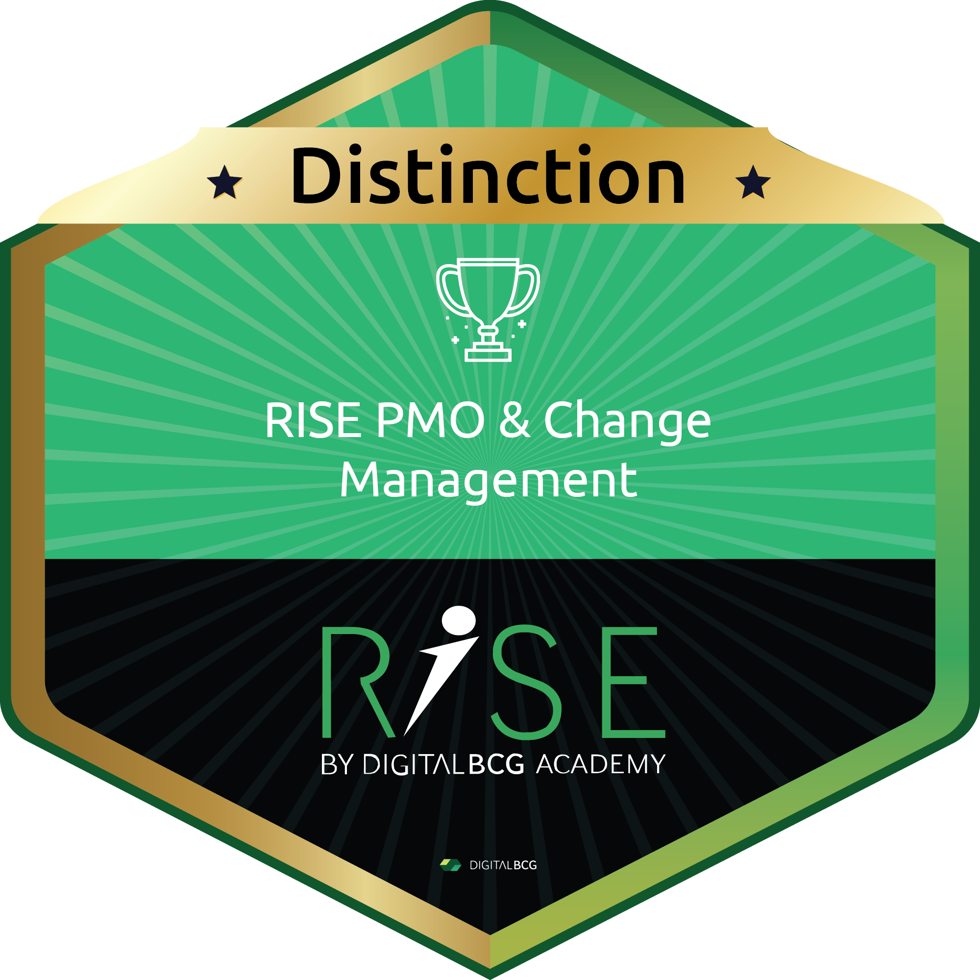 BCG RISE Distinction PMO & Change Management - Credly