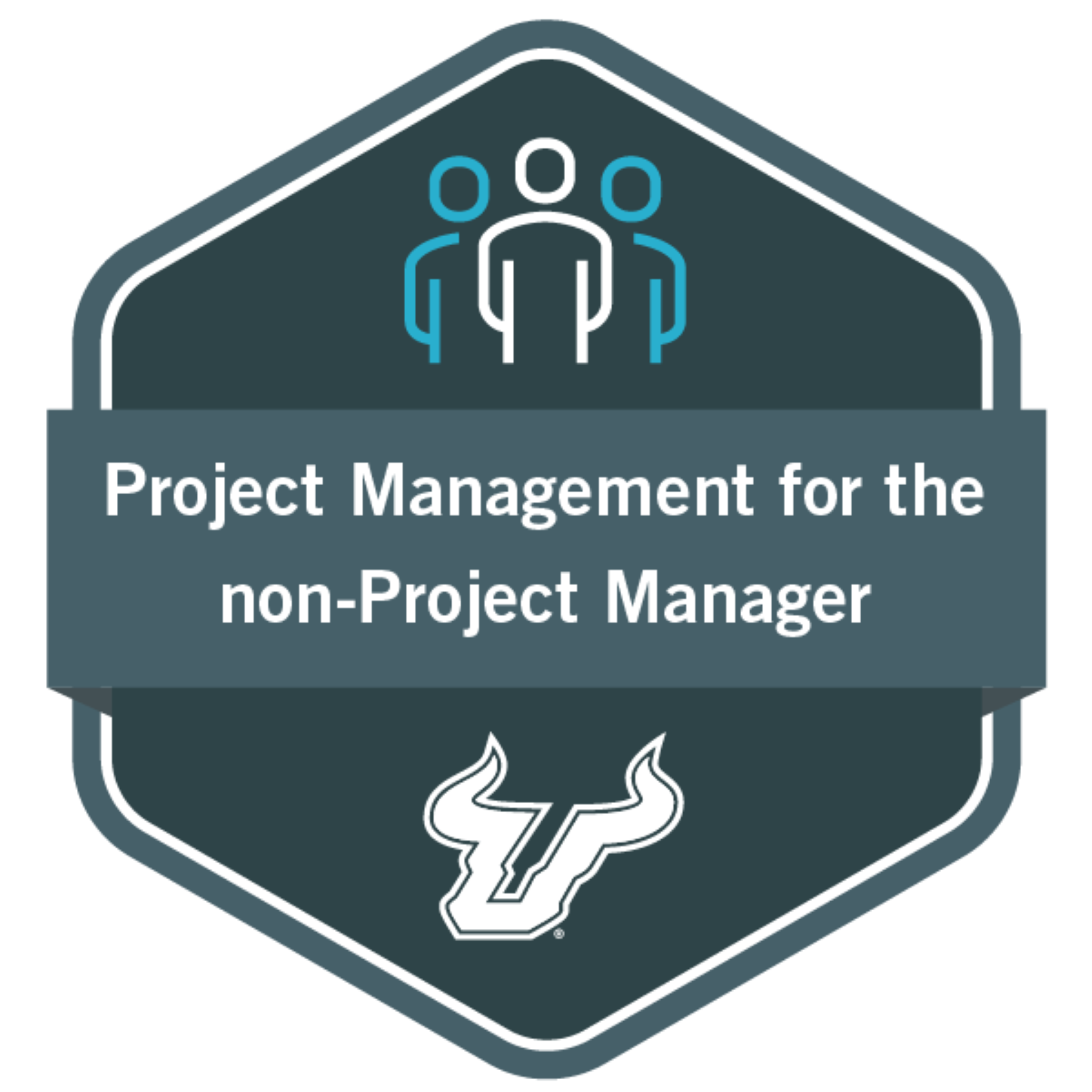 Project Management for the non-Project Manager | Stack-A-Bull - Credly