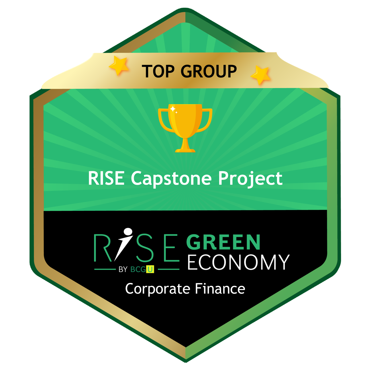 BCG RISE Green Economy (Corporate Finance) Top Capstone Project Group ...