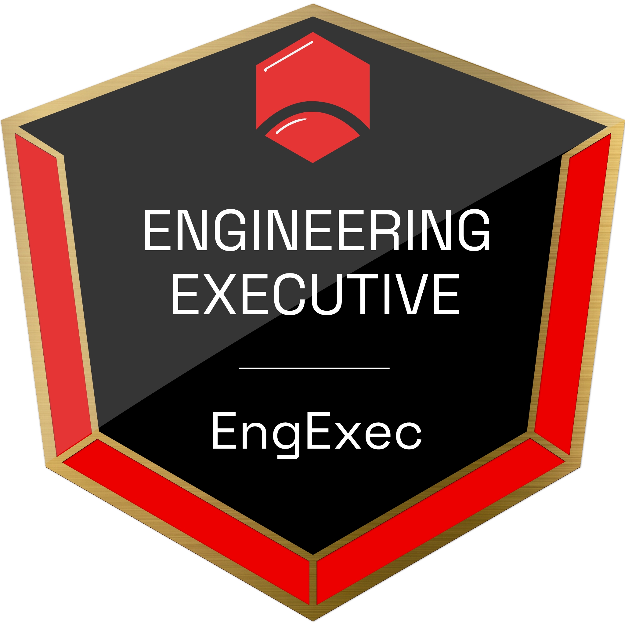 Engineering Executive - Credly