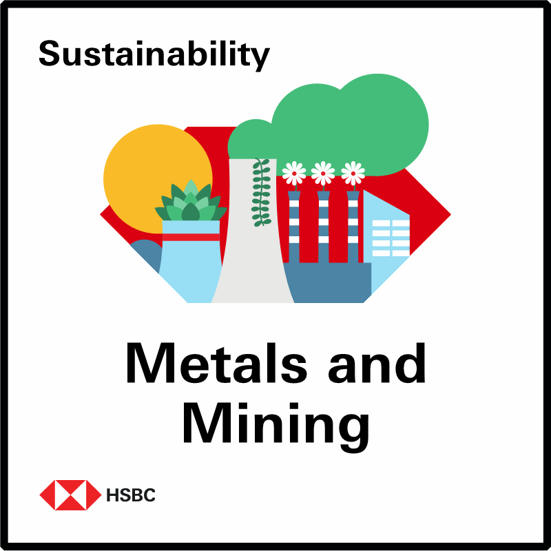 Sustainability - Metals and Mining - Credly