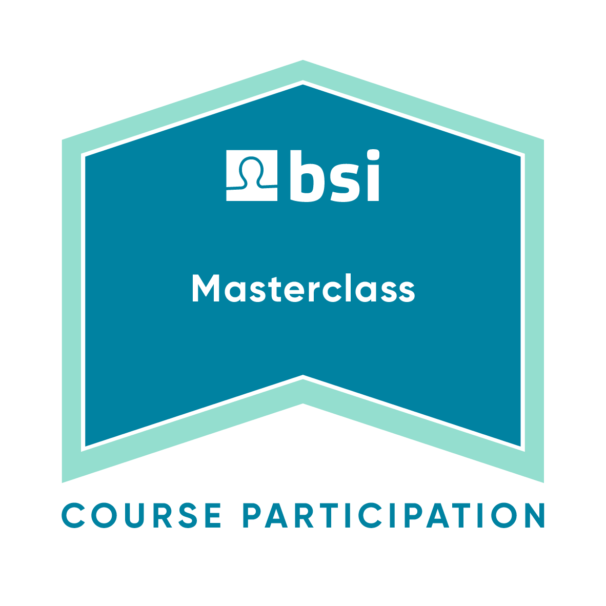 BSI Customer Suite Masterclass - Credly