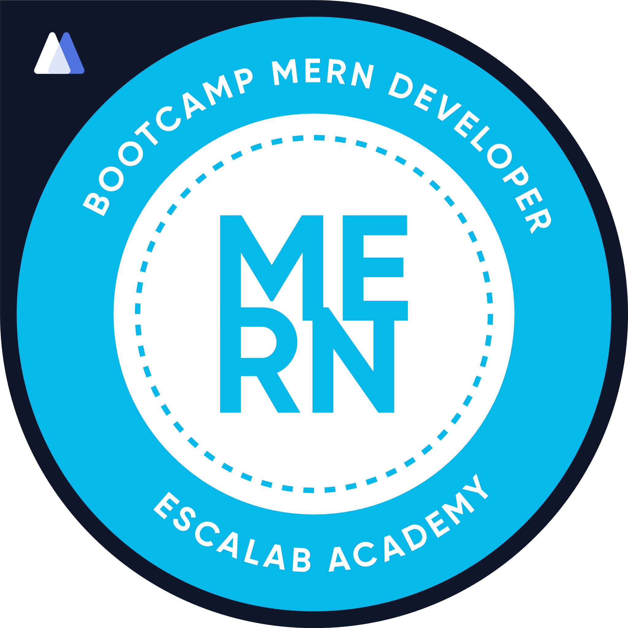 Fullstack MERN Developer - Credly