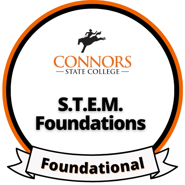 STEM Foundations - Credly