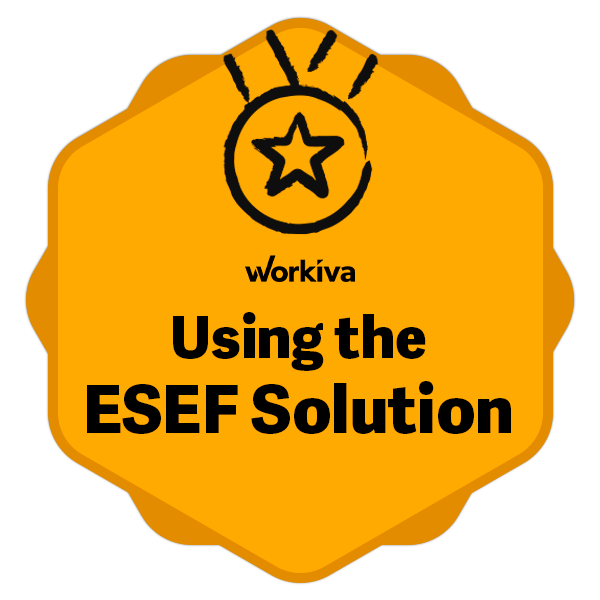 Using the ESEF Solution - Credly