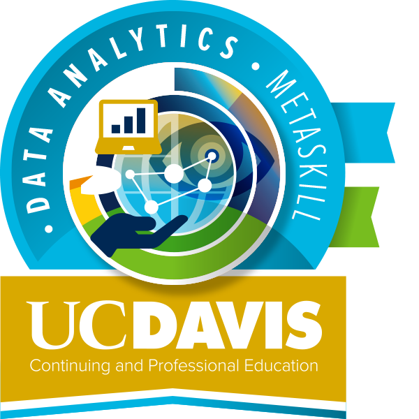Data Analytics Meta Skills Badge - Credly