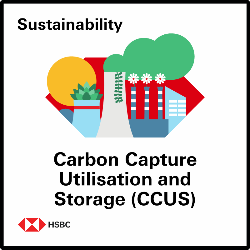 Sustainability - Carbon Capture Utilisation and Storage (CCUS) - Credly