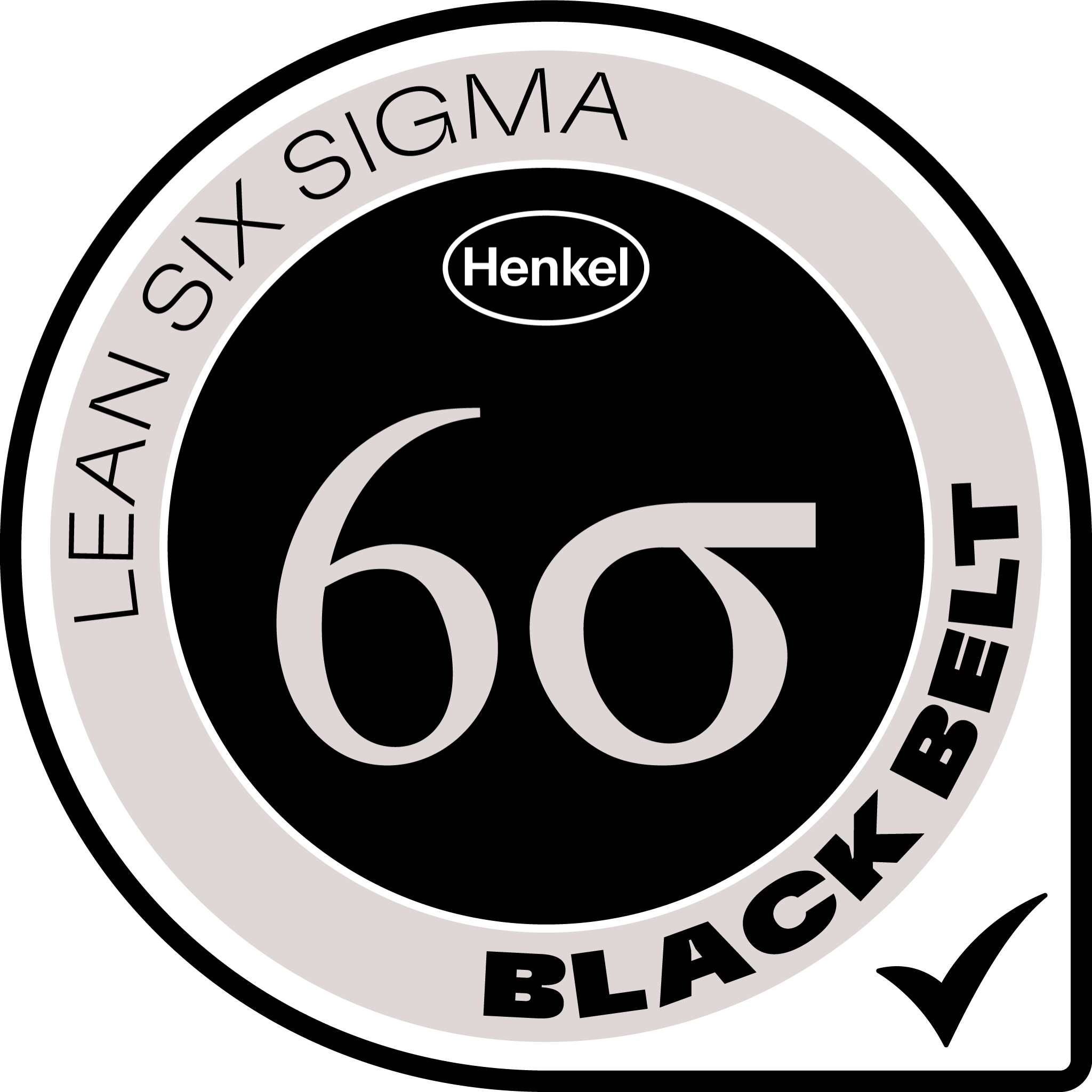 Lean Six Sigma Black Belt - Credly