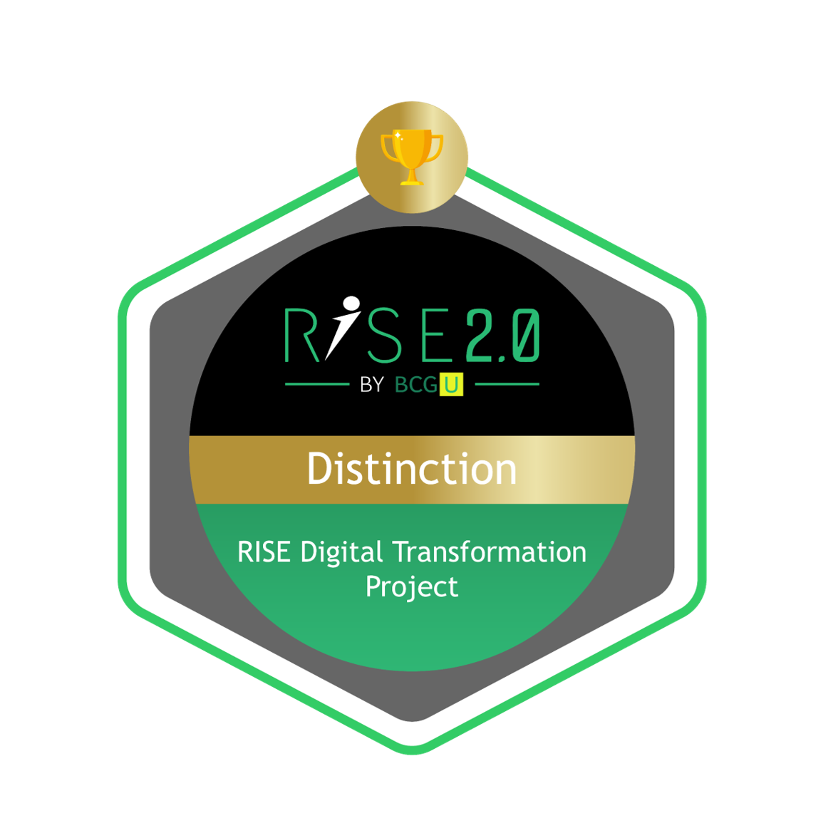 BCG RISE Distinction Digital Transformation Project - Credly