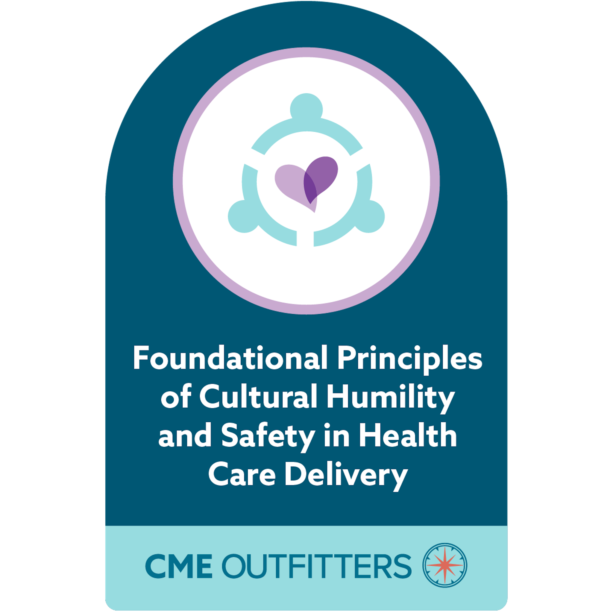 Foundational Principles of Cultural Humility and Safety in Health Care ...