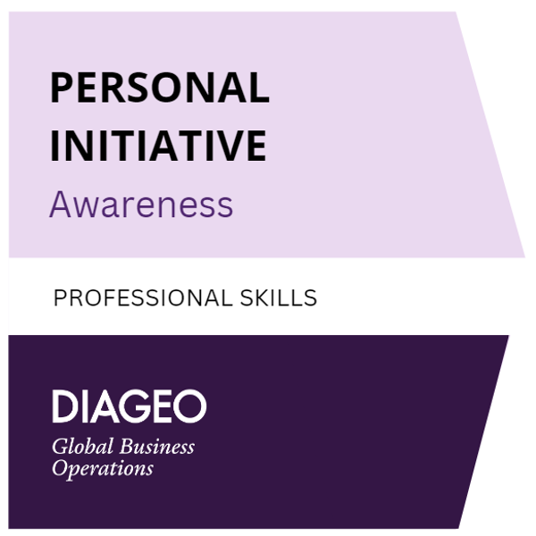 Personal Initiative Awareness - Credly