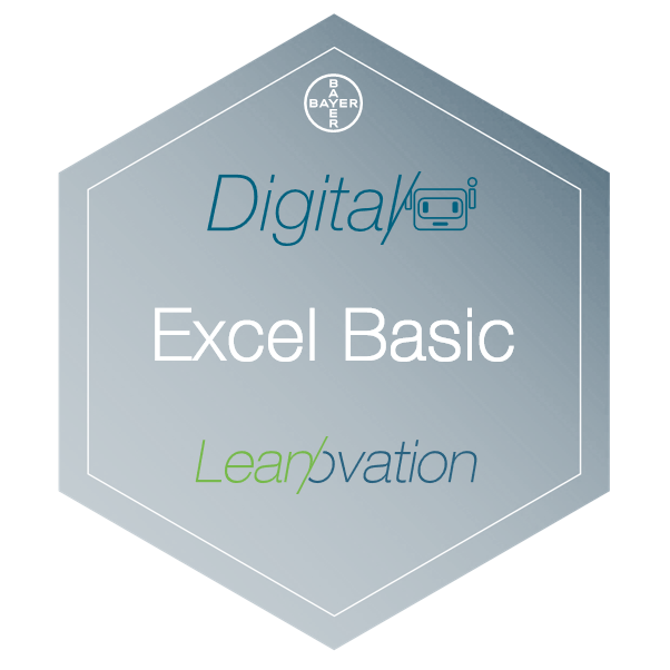 Excel Basic - Credly