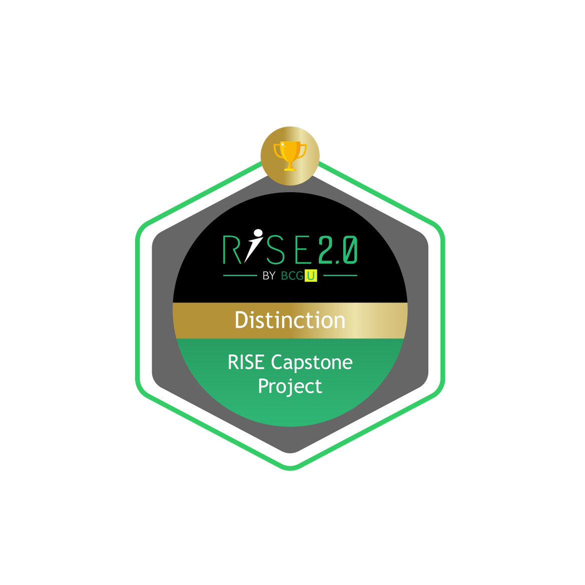 BCG RISE Capstone Distinction (Digital Transformation and Change ...