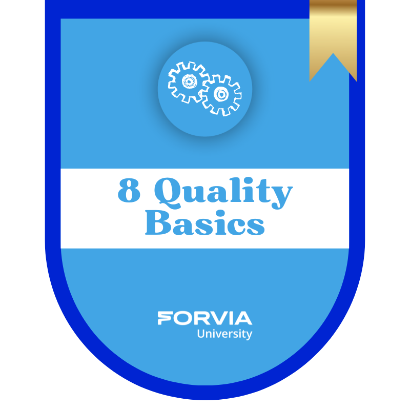 8 Quality Basics - Credly
