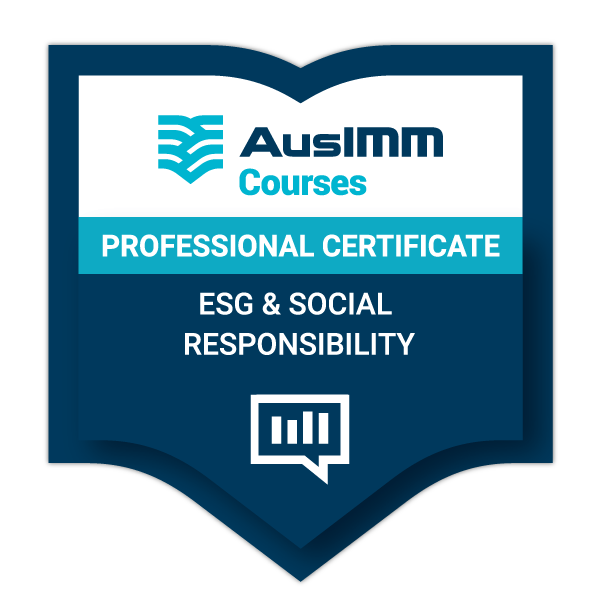 Professional Certificate ESG and Social Responsibility - Credly