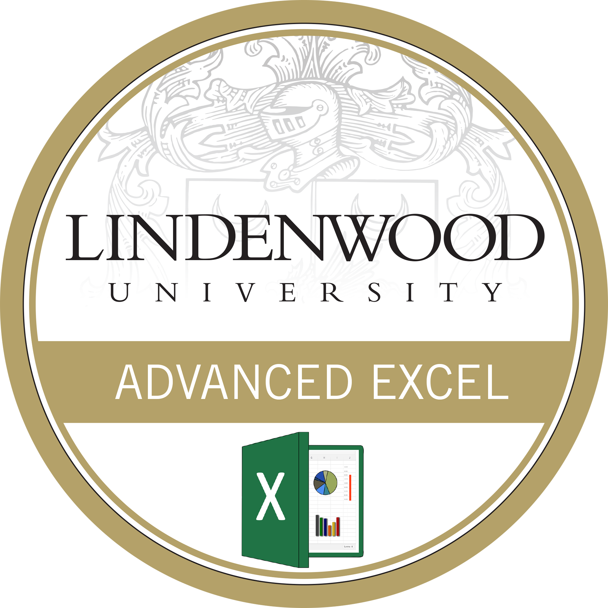 Advanced Excel - Credly