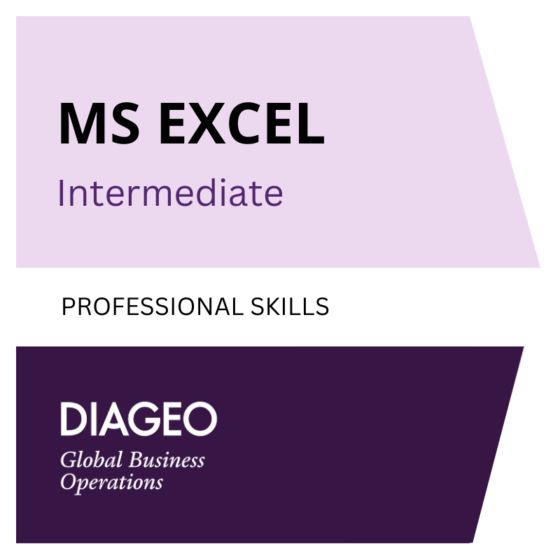 MS Excel Intermediate - Credly