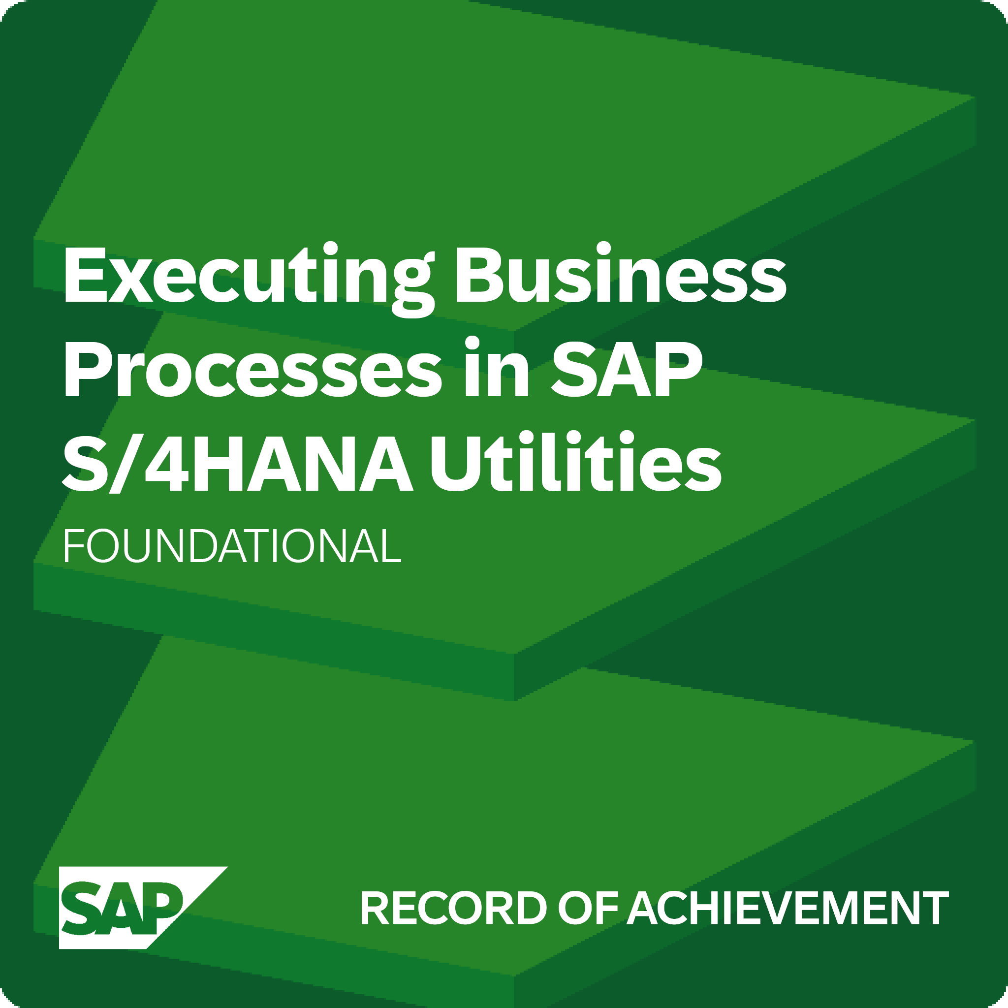 Executing Business Processes in SAP S/4HANA Utilities - Record of ...