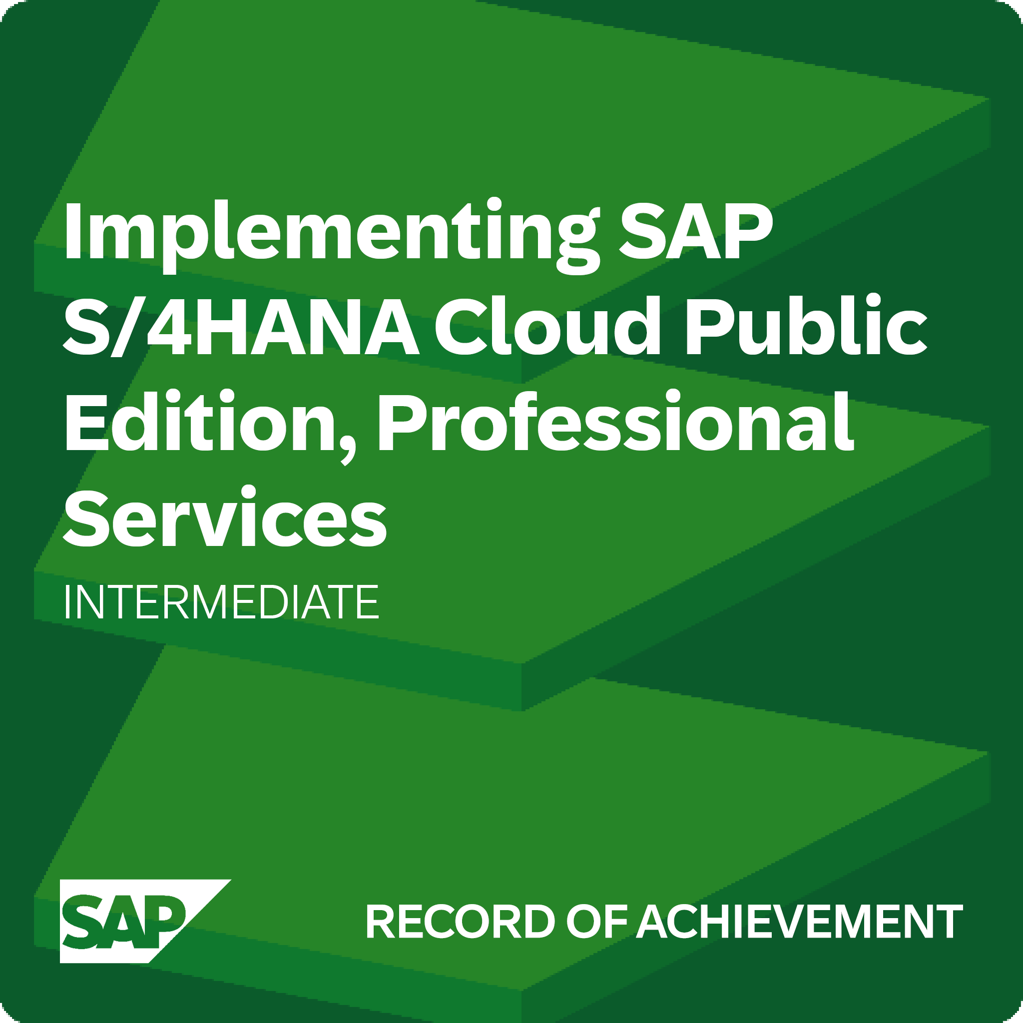 Implementing SAP S/4HANA Cloud Public Edition, Professional Services ...