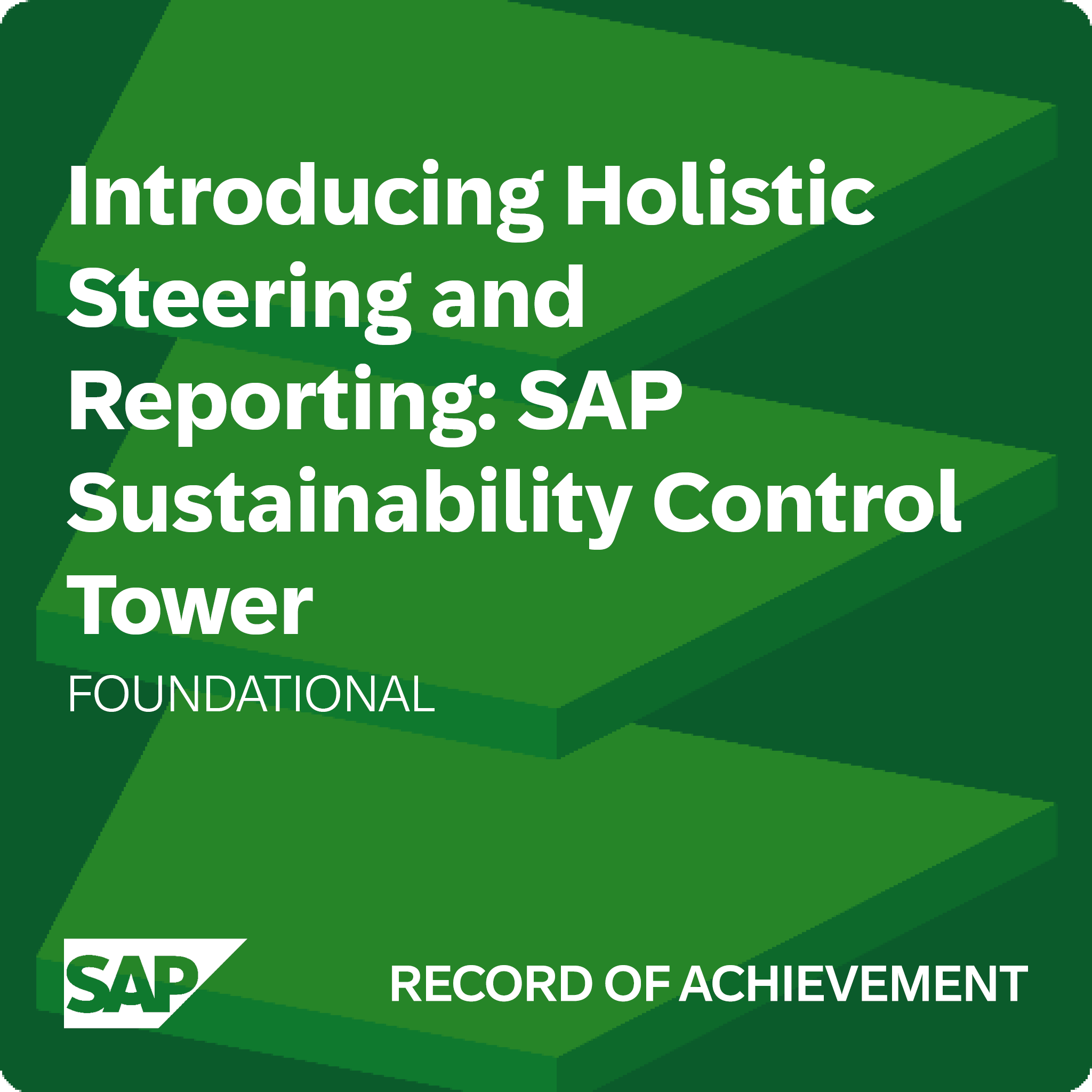 Introducing Holistic Steering and Reporting: SAP Sustainability Control ...