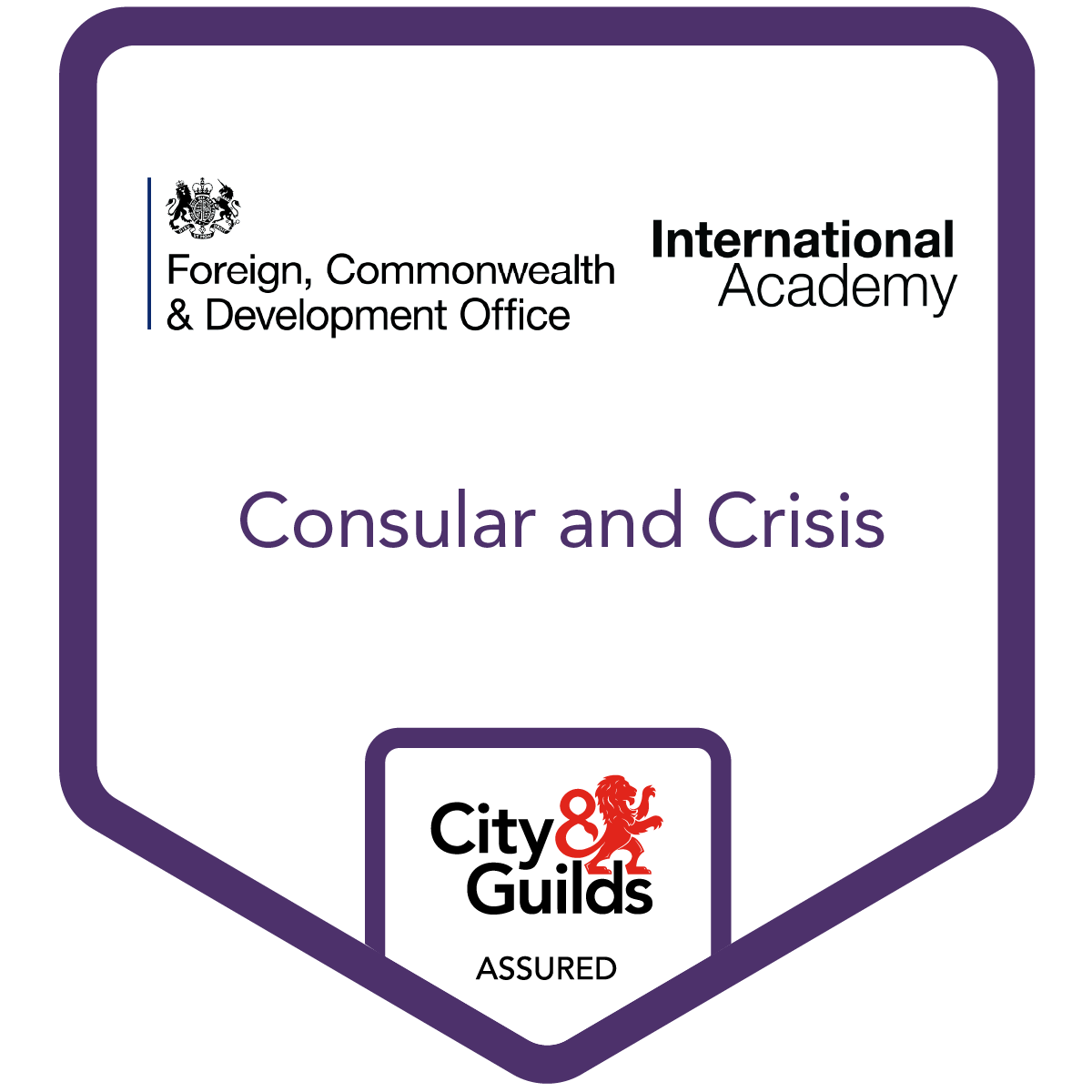 Consular and Crisis - Credly