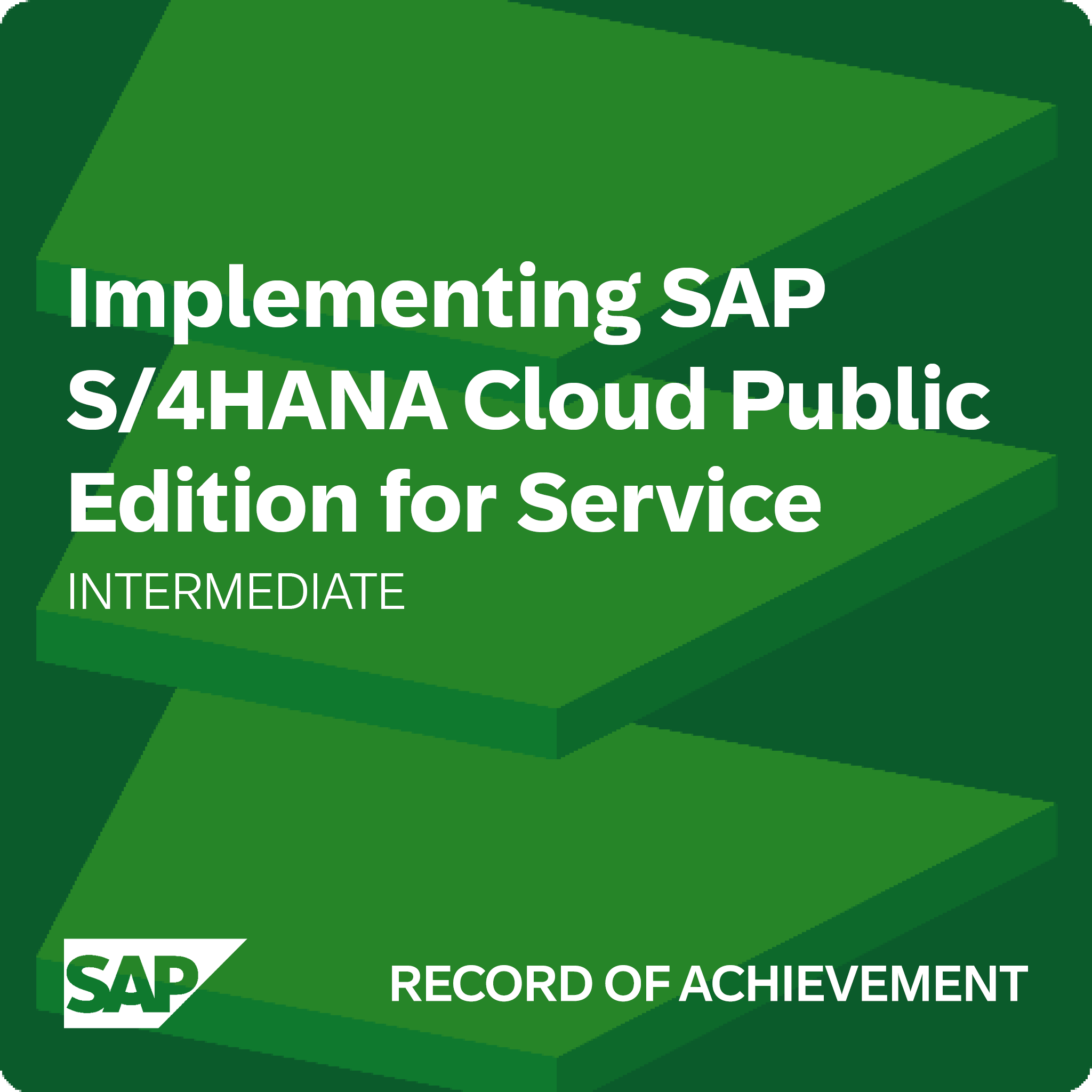 Implementing SAP S/4HANA Cloud Public Edition for Service - Record of ...