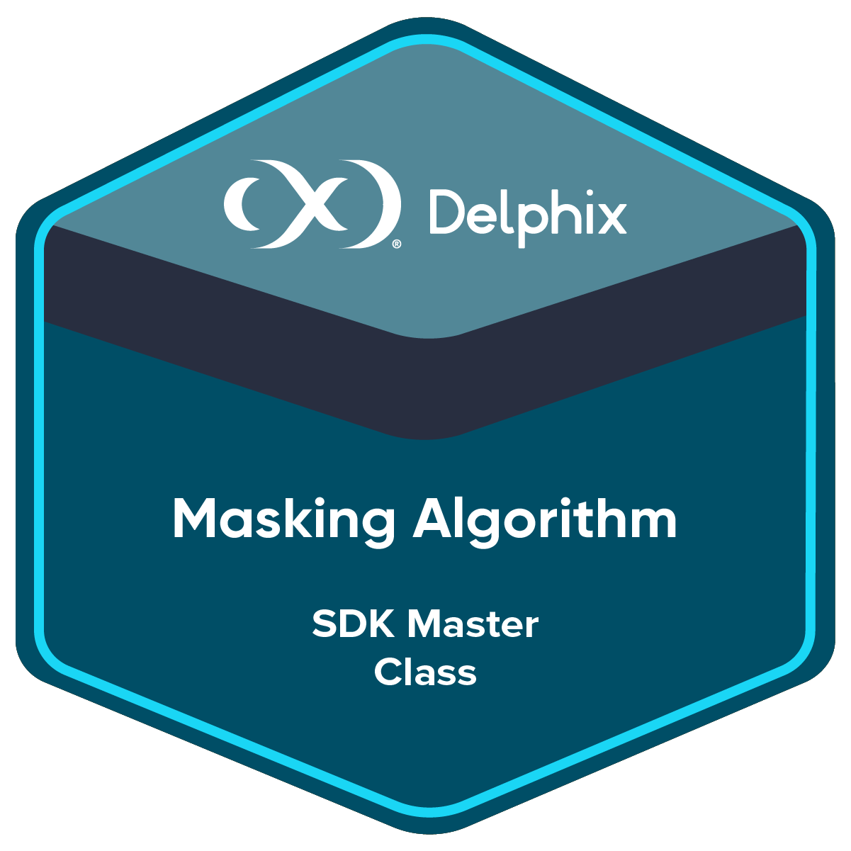 Delphix Masking Algorithm SDK - Master Class - Credly