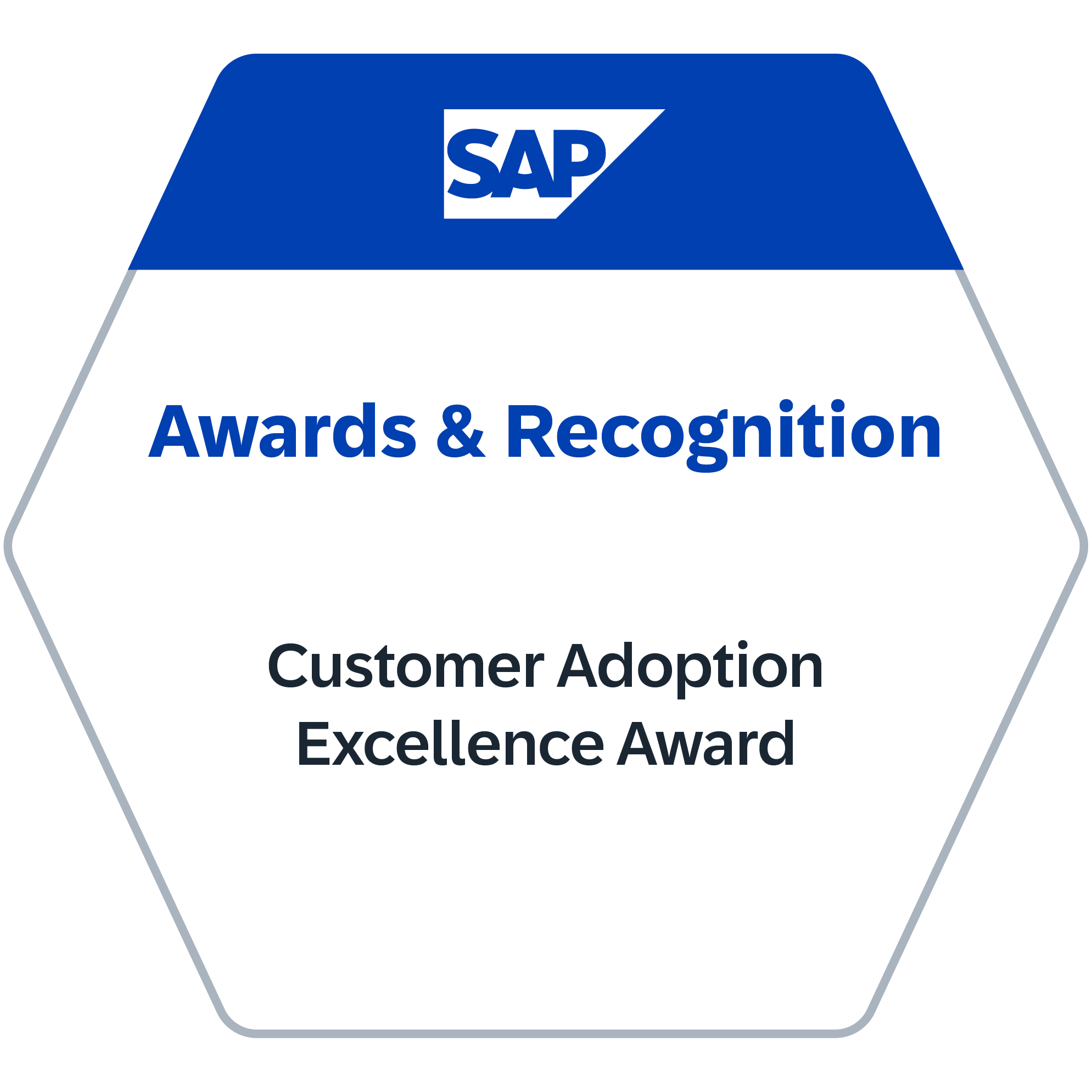 Awards and Recognition - Customer Adoption Excellence Award - Credly