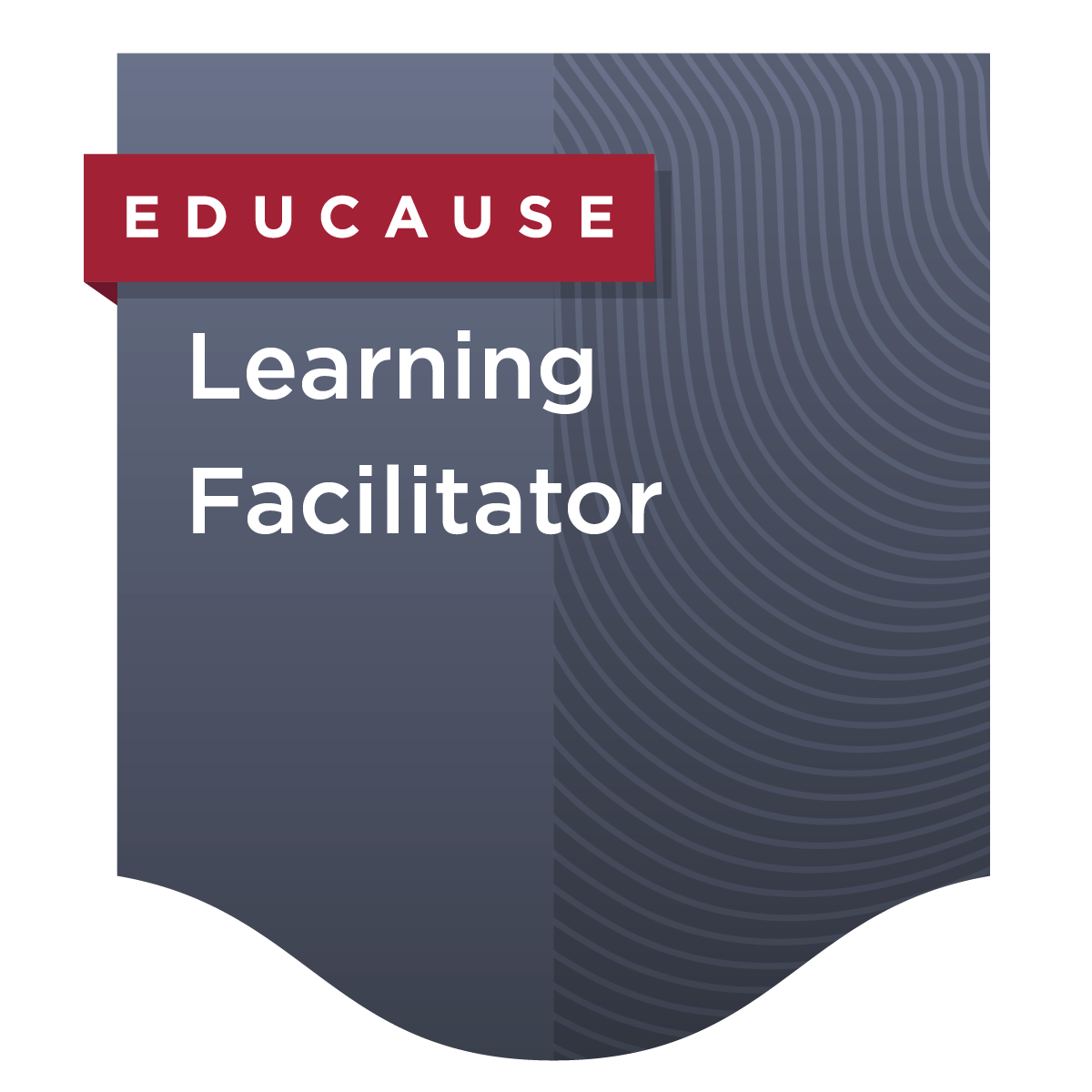 Learning Facilitator - Credly