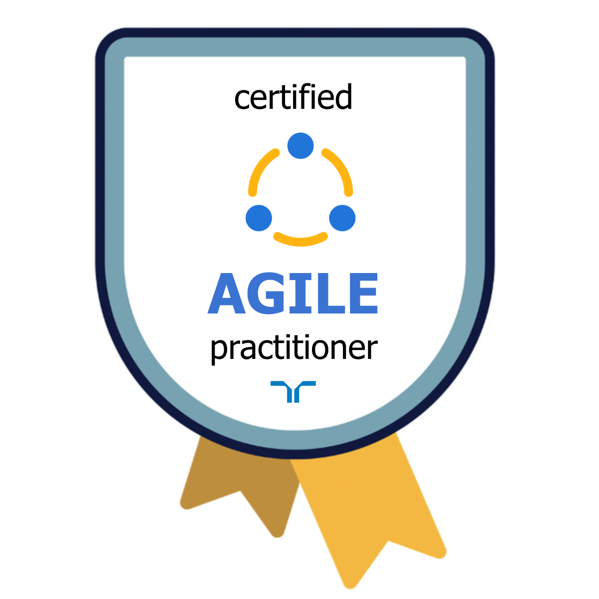 Certified Agile Practitioner - Credly