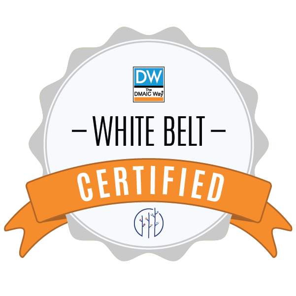 The DMAIC Way® White Belt - Credly