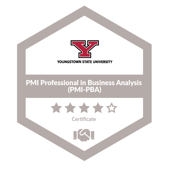 PMI Professional in Business Analysis (PMI-PBA) - Credly