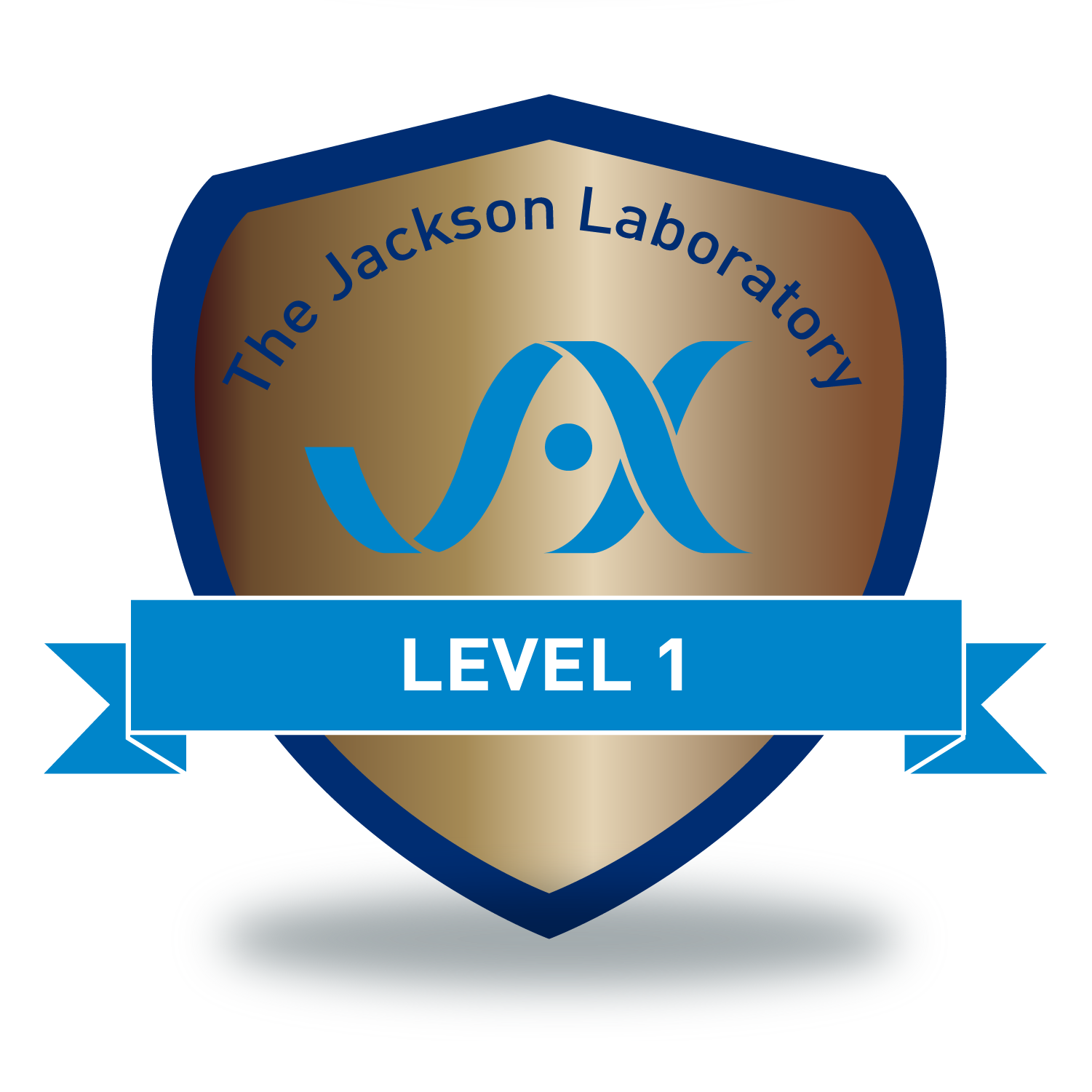JAX Online MiniCourses: Level 1 (Bronze) - Credly