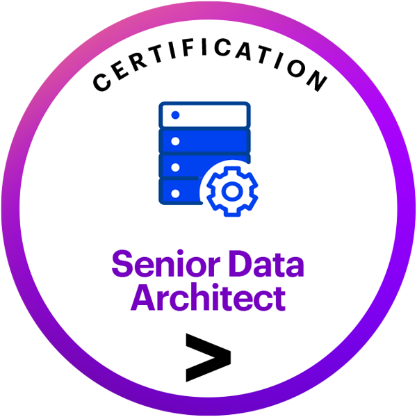 Senior Data Architect Certification - Credly