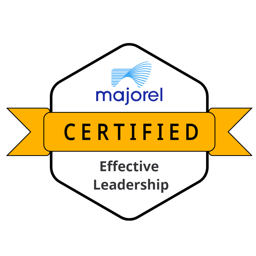 Effective Leadership Collection - Credly