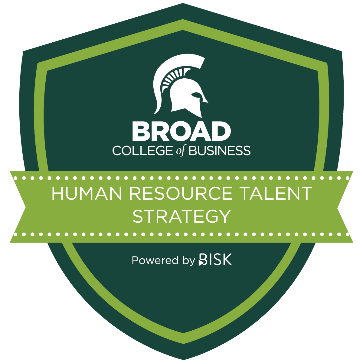 Human Resource Talent Strategy - Credly