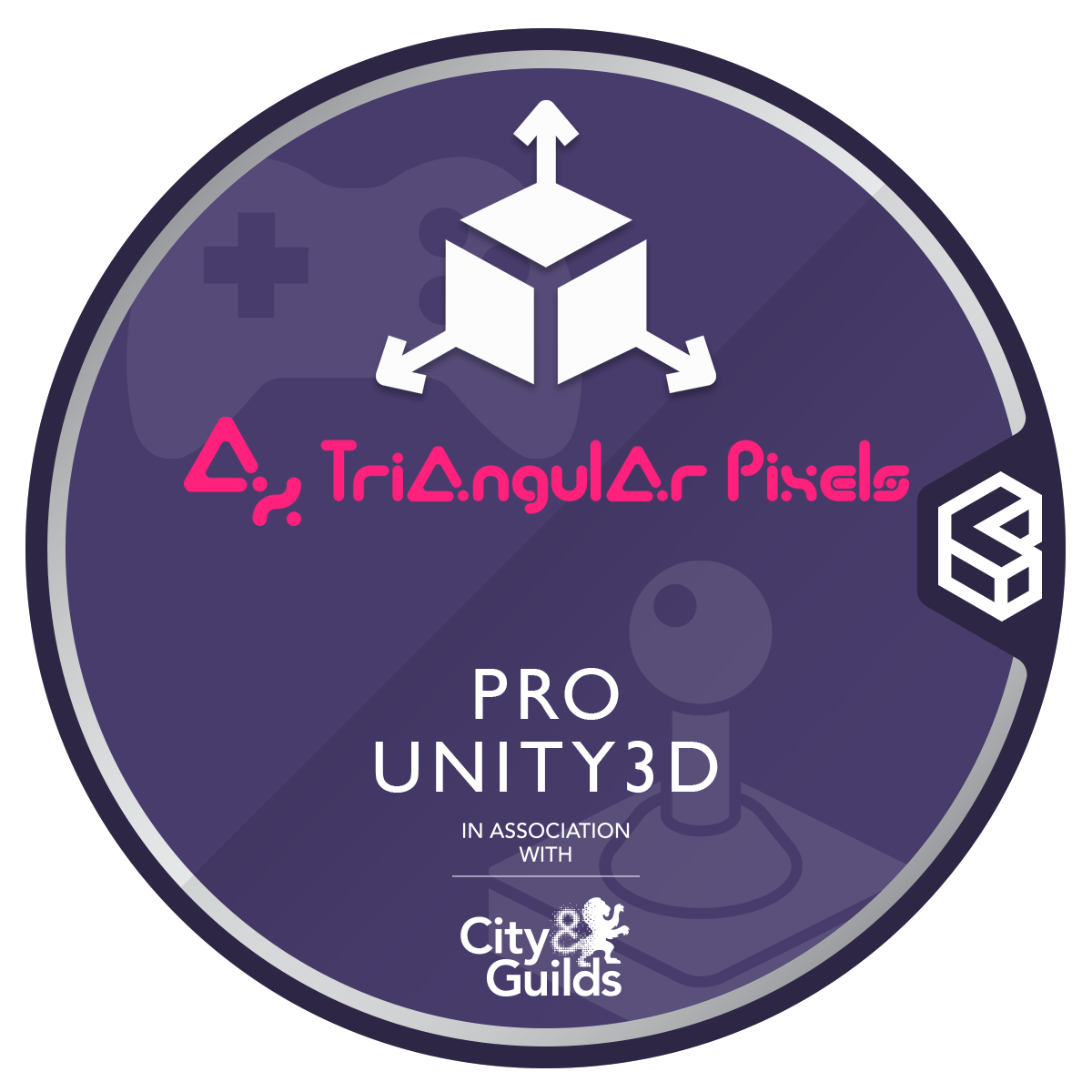 Professional: Unity 3D User - Credly