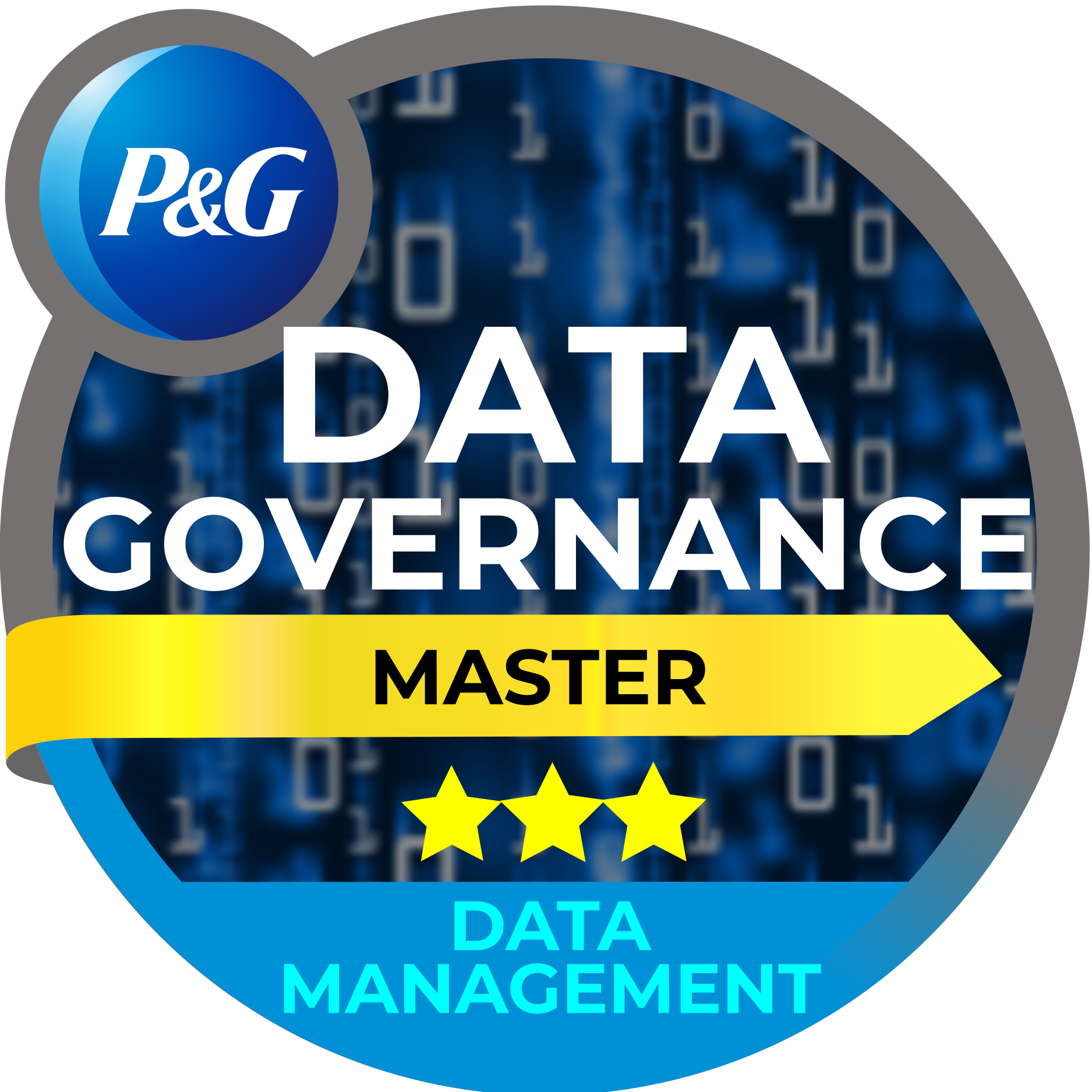 Master in P&G Data Management Data Governance - Credly