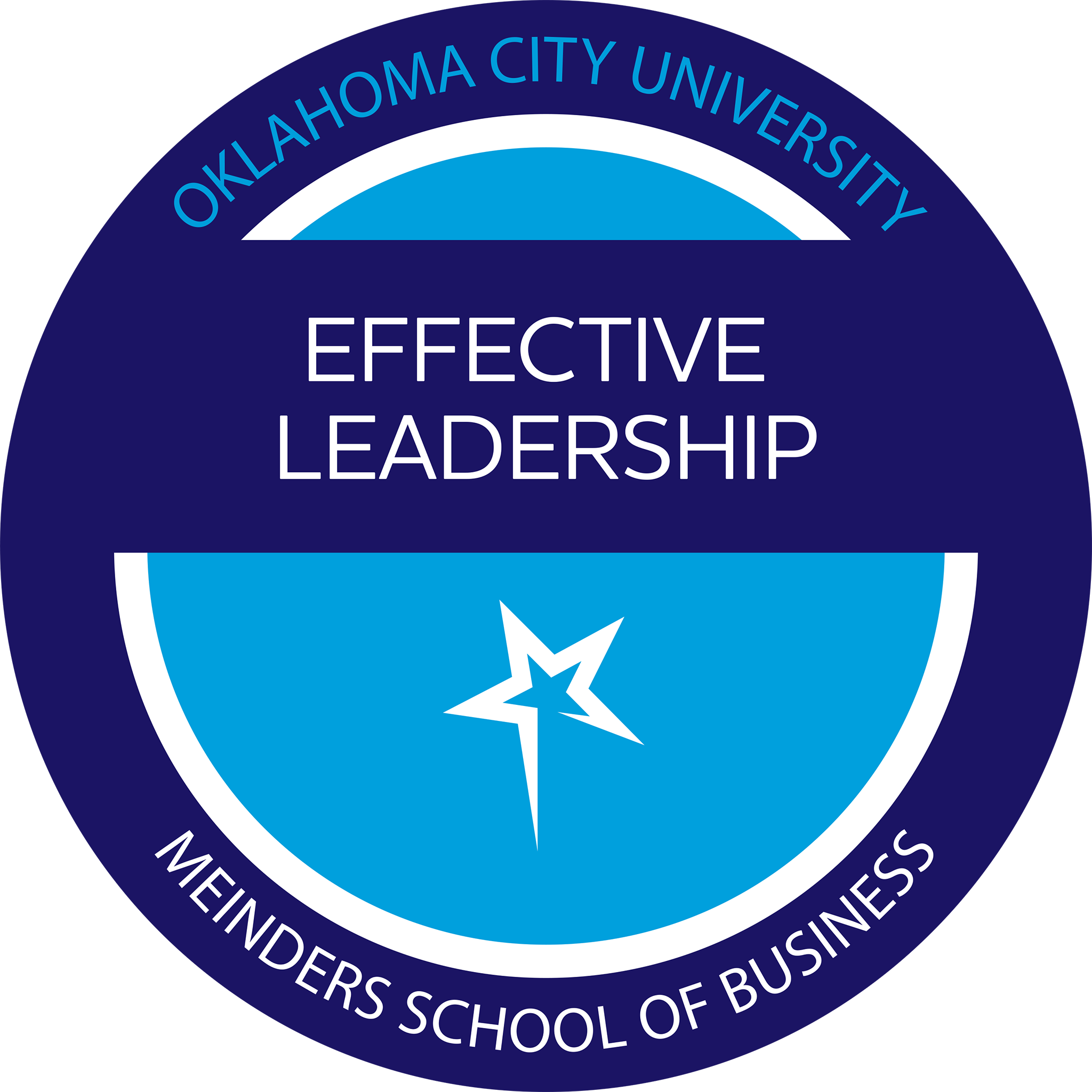 Effective Leadership - Credly