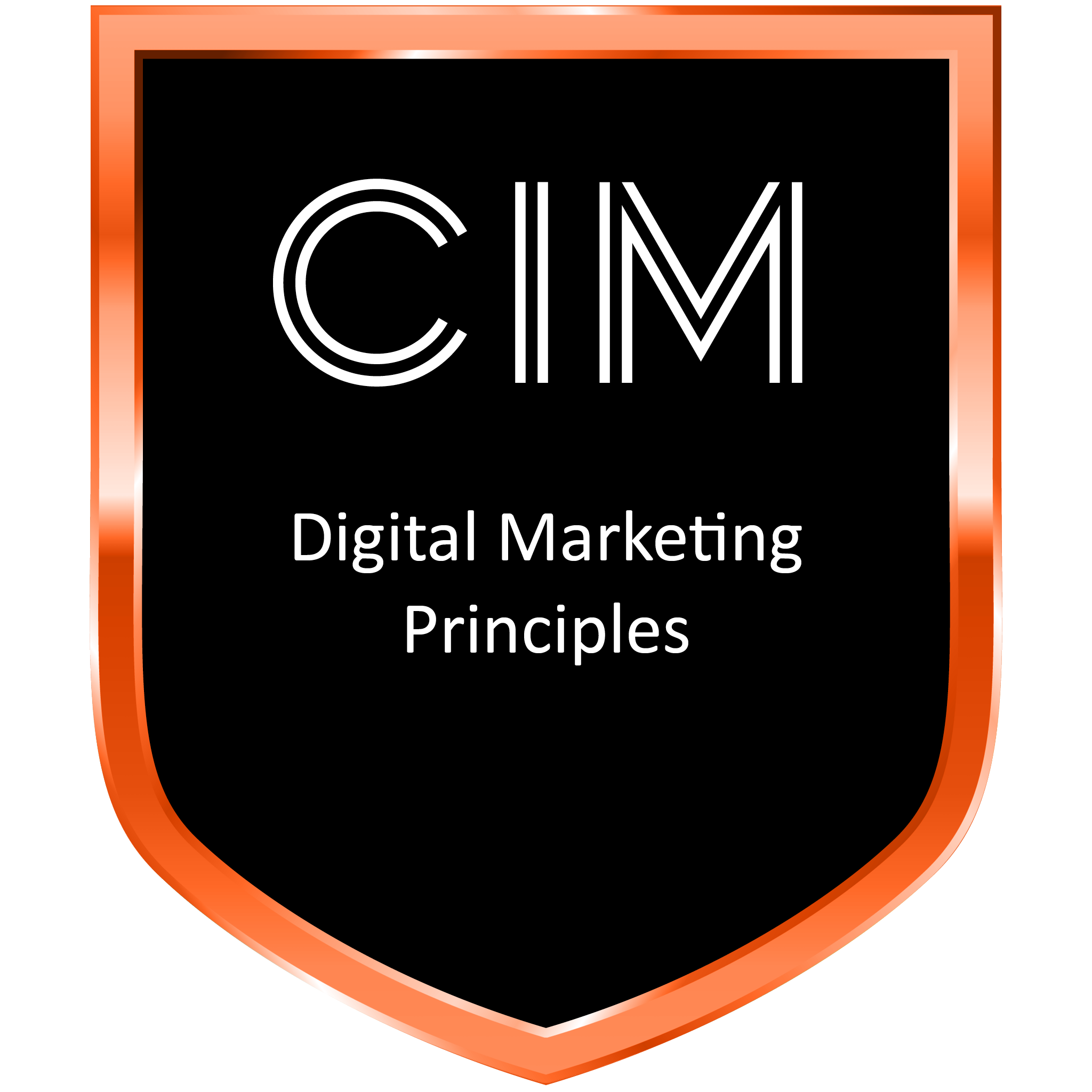 Digital Marketing Principles - Credly